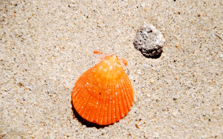 Exploring the pindan in Australia’s North West | A Glass Half Full