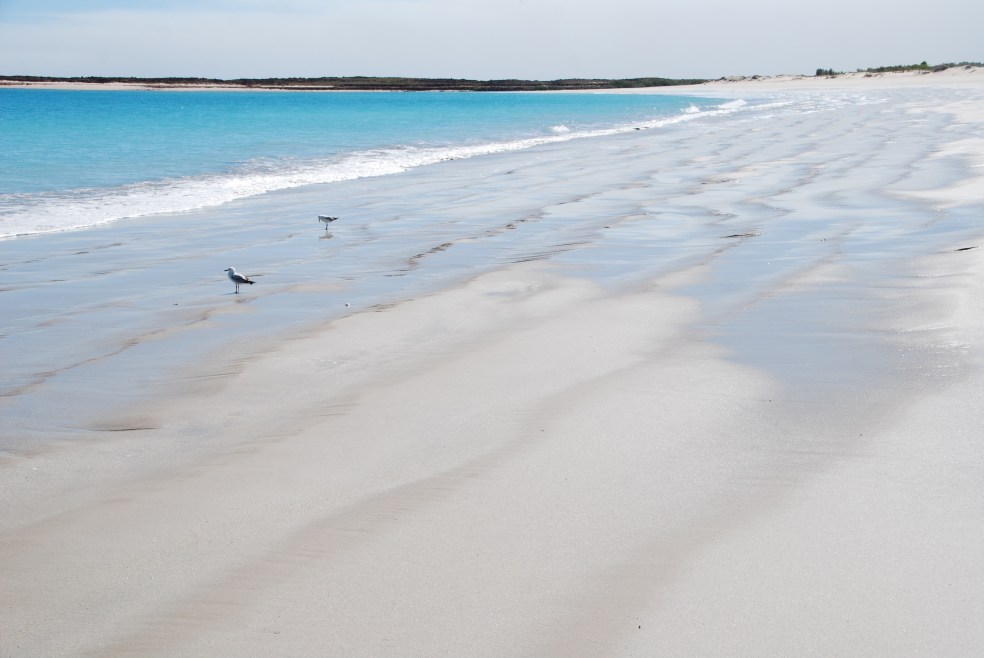 Exploring the pindan in Australia’s North West | A Glass Half Full