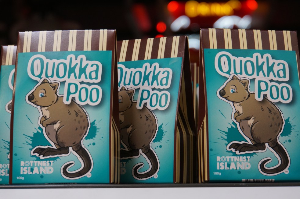 Meet the quokkas of Rottnest Island | A Glass Half Full